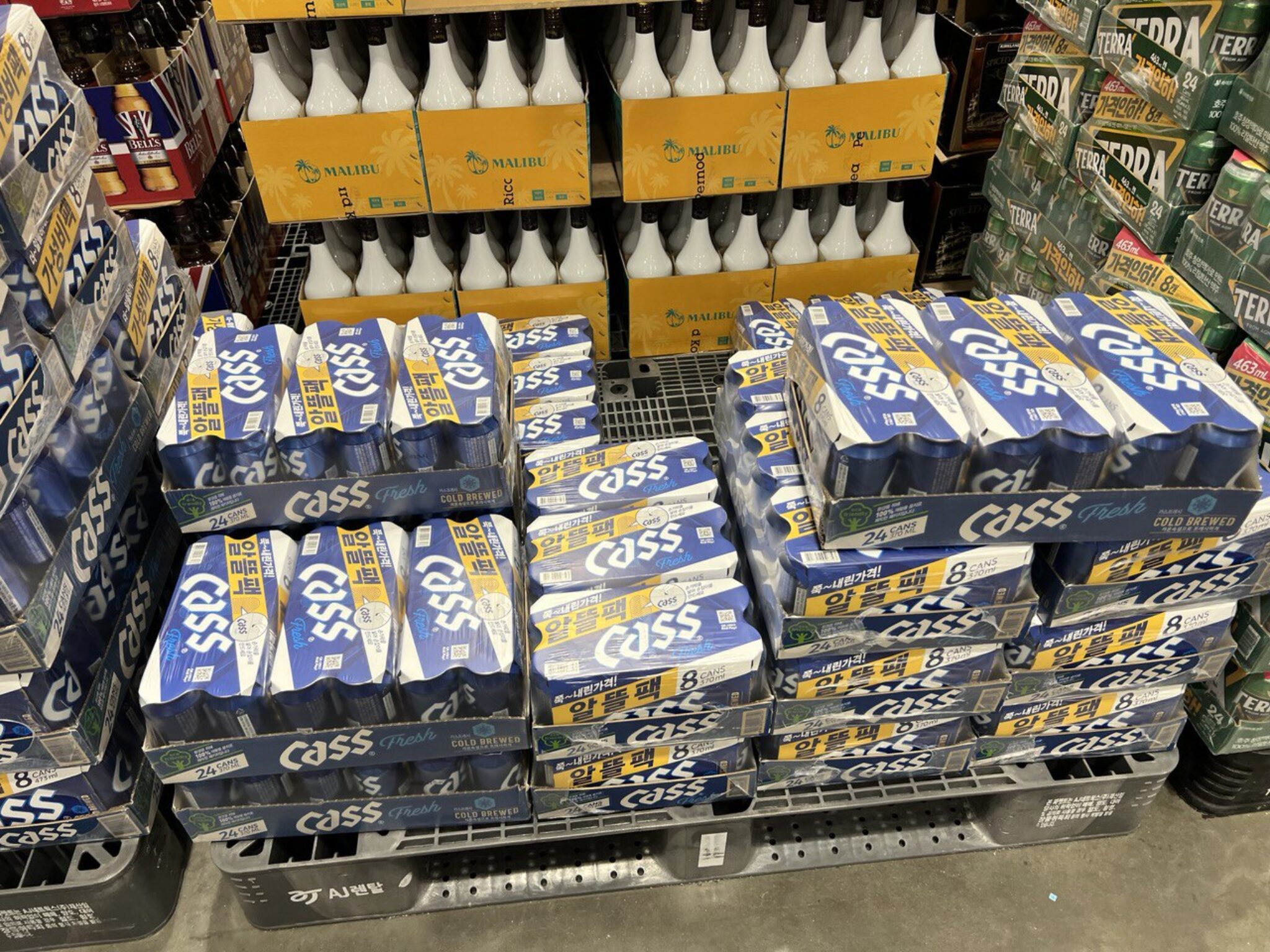 카스 캔맥주 코스트코 가격과 용량 정리 (370ml) - 코스트컴