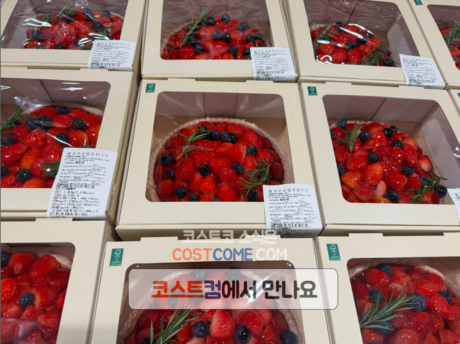 코스트코 딸기프로마쥬타르트 가격과 영양성분 정리 코스트컴