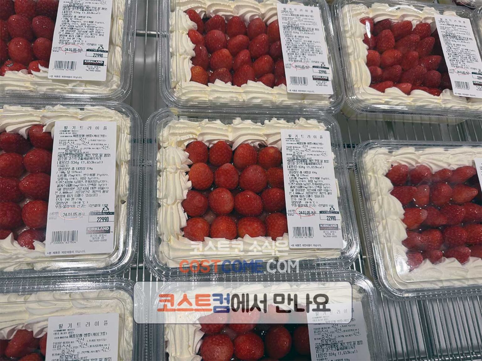 코스트코 딸기 트라이플 가격과 영양성분 정리 코스트컴