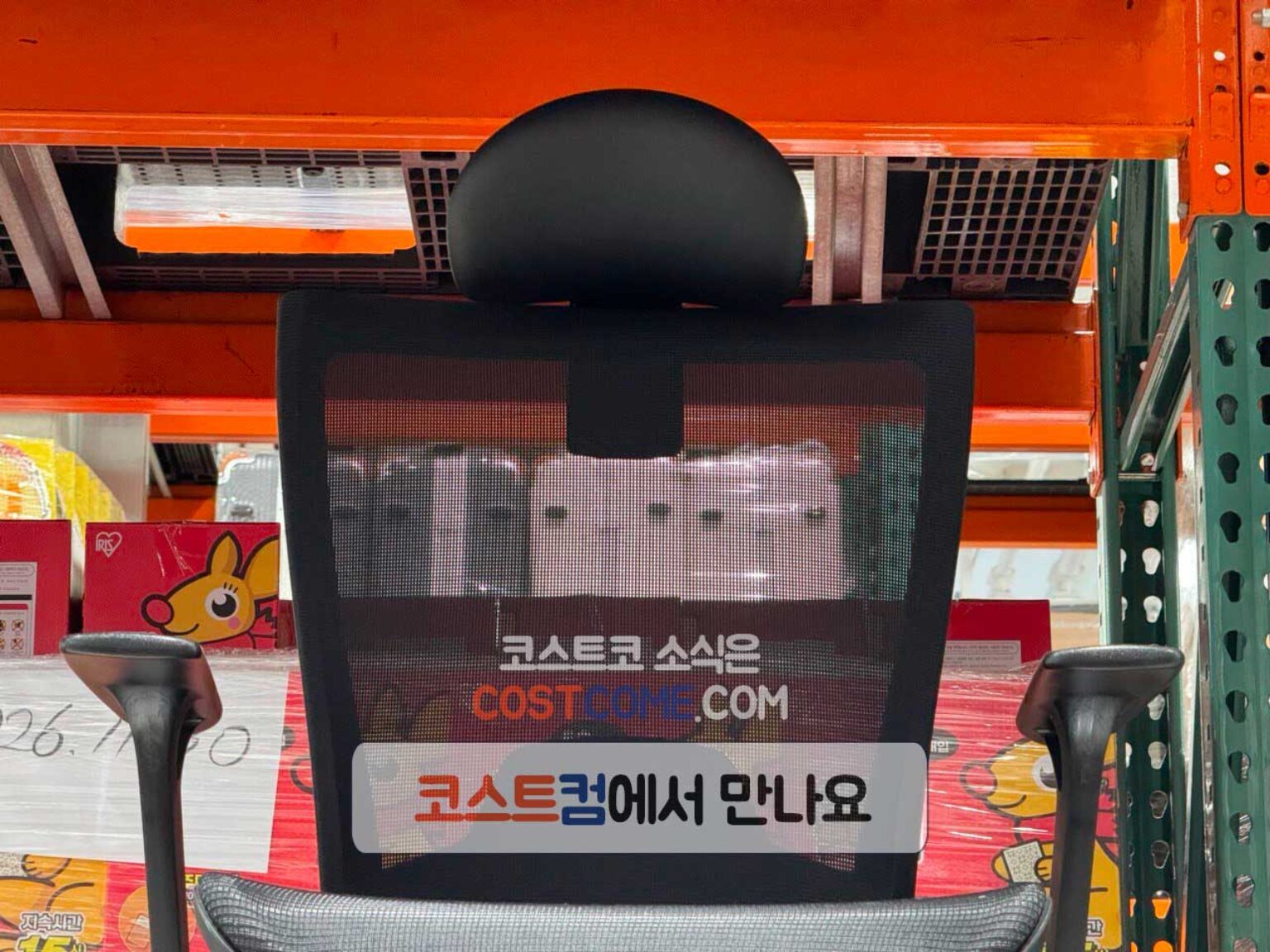 코스트코 시디즈 T50 에어 라이트 사무용 및 학생의자 할인 가격 정리 코스트컴
